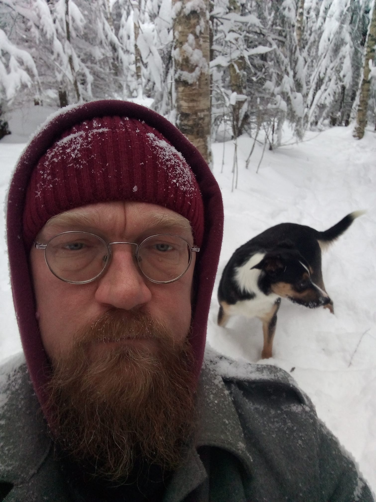 markku – Pihlavan Talli